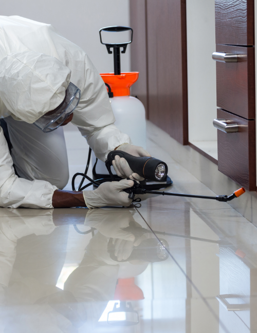 PROFESSIONAL PEST CONTROLED SERVICES